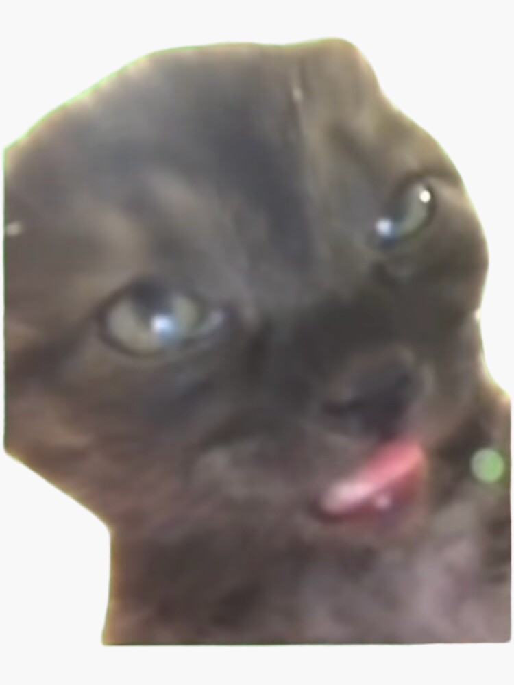 "tired cat meme brainrot" Sticker for Sale by misscouchpotato | Redbubble