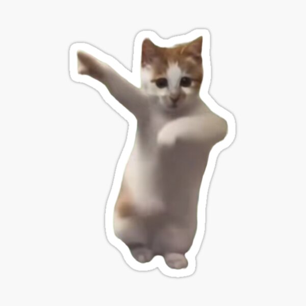 Dancing Cat Memes