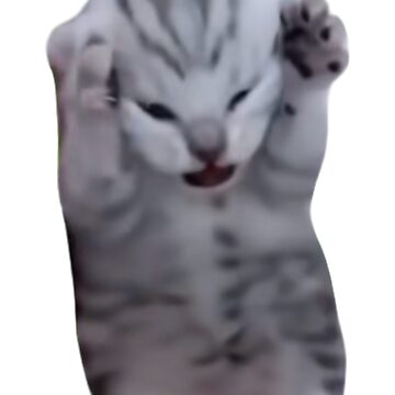 "upset cat angy meme" Sticker for Sale by misscouchpotato | Redbubble