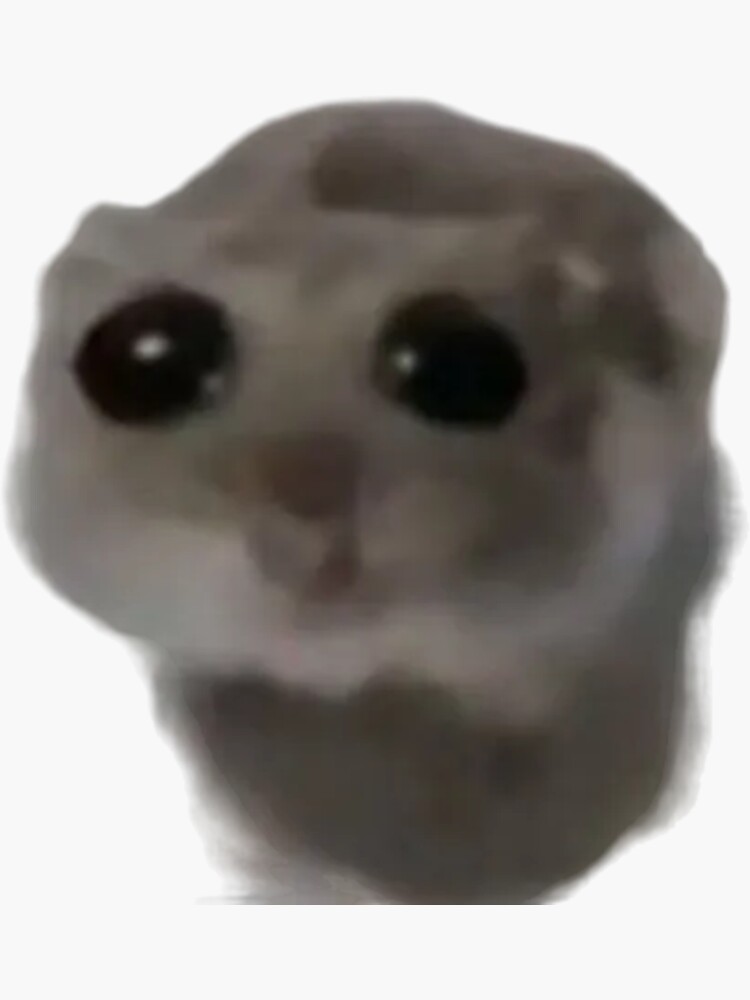 "sad hamster meme" Sticker for Sale by misscouchpotato | Redbubble