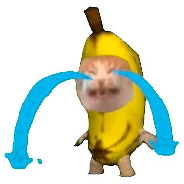 "crying banana cat meme" Sticker for Sale by misscouchpotato | Redbubble