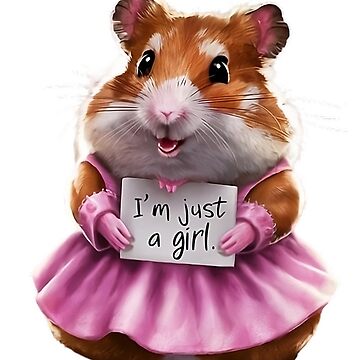 "Sad Hamster Meme" Sticker for Sale by Day Dreamer | Redbubble