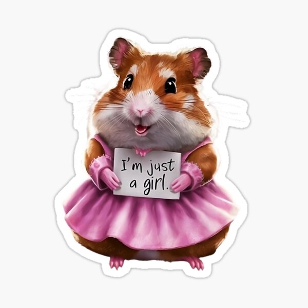 "Sad Hamster Meme" Sticker for Sale by Day Dreamer | Redbubble