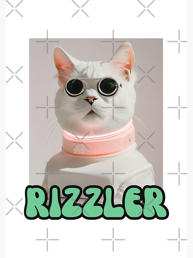 "The Rizzler Cat with Sunglasses - Funny Rizz - Rizz meme ...