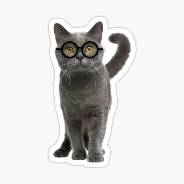 "Cat With Glasses" Sticker for Sale by Etr-Design | Redbubble
