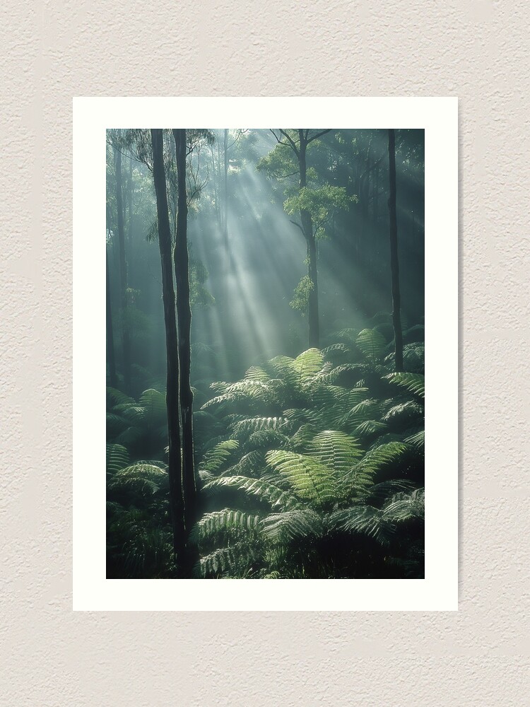 "Australian Tree Ferns" Art Print for Sale by Steven Sandner | Redbubble