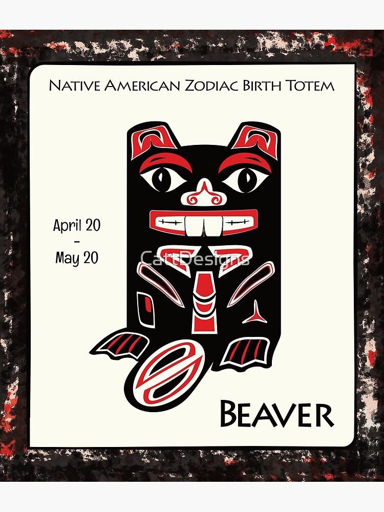 Native american zodiac beaver meaning 60 photos - Astrologytoyou.com