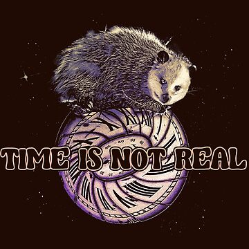 "Time Is Not real - Funny Possum Meme" Sticker for Sale by DragonScar ...