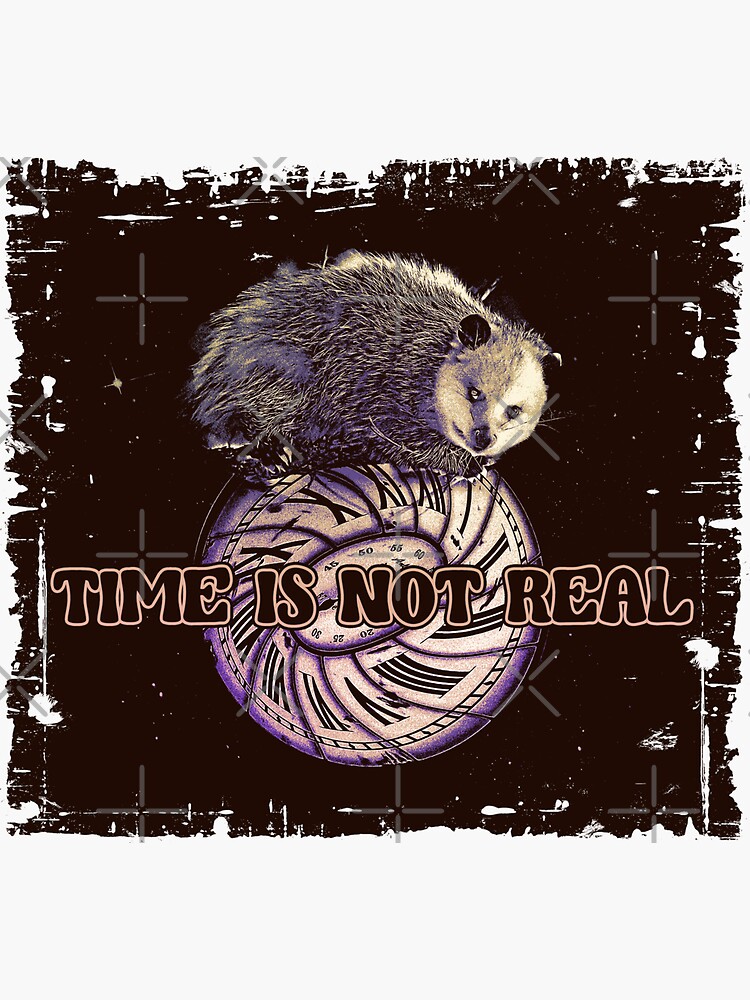 "Time Is Not real - Funny Possum Meme" Sticker for Sale by DragonScar ...