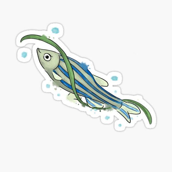 "Cute zebrafish" Sticker for Sale by Antiope33 | Redbubble