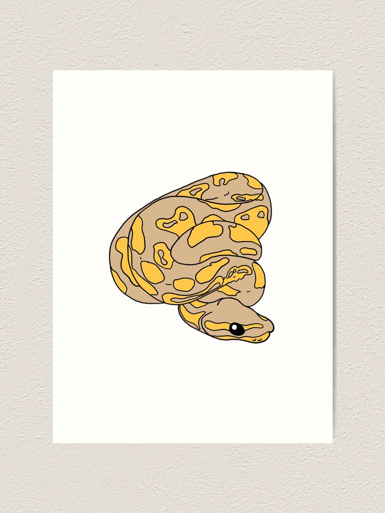 "Banana Ball Python" Art Print by HannahDale | Redbubble