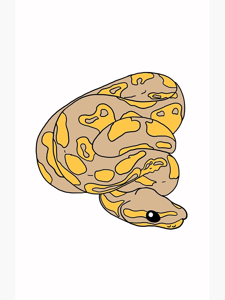 "Banana Ball Python" Art Print by HannahDale | Redbubble
