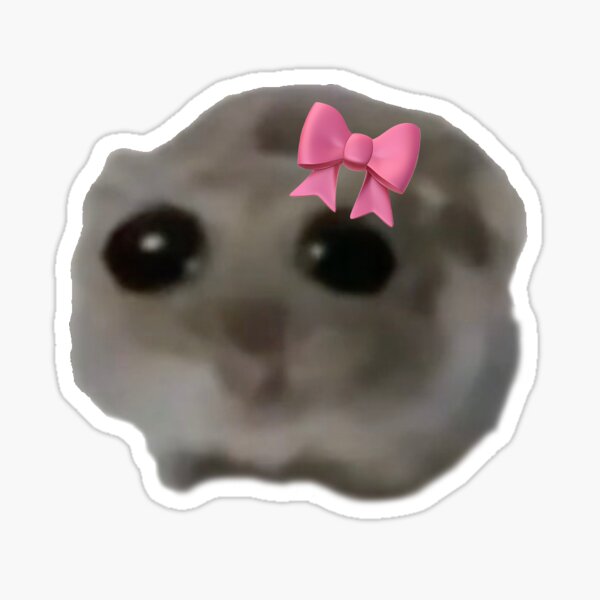 "Sad Hamster Meme Coquette" Sticker for Sale by svrtel | Redbubble