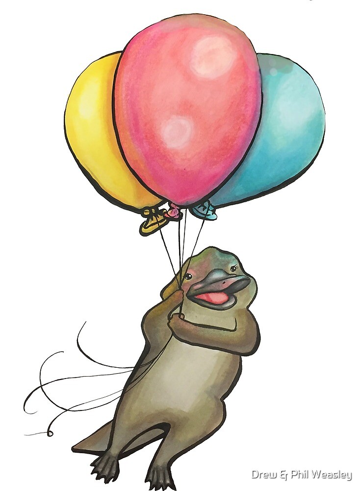 "Flying Platypus" by Drew & Phil Weasley | Redbubble