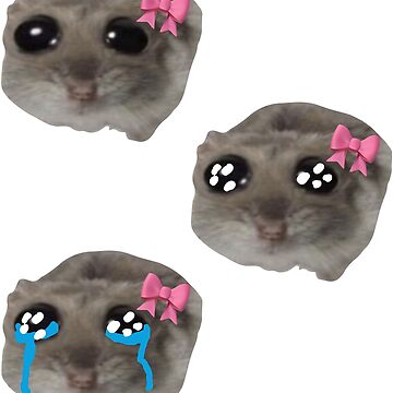 "Sad Hamster Meme" Sticker for Sale by funkyst | Redbubble