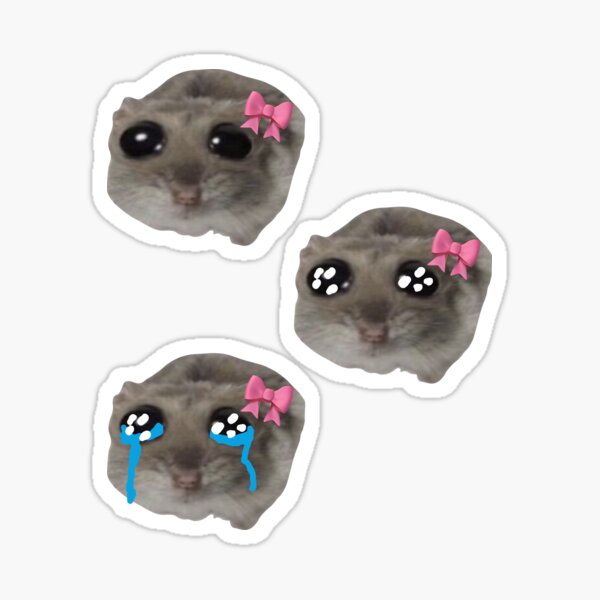 "Sad Hamster Meme" Sticker for Sale by funkyst | Redbubble