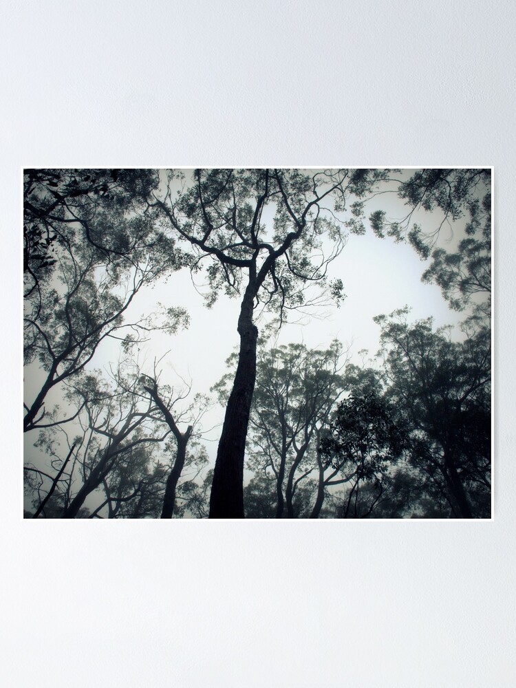 "Neck In A Knot" Poster for Sale by fuzzi | Redbubble