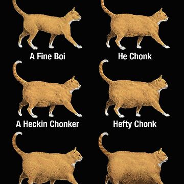 "Feline Conk Chart, Funny Chonk Cat Meme " Essential T-Shirt for Sale ...