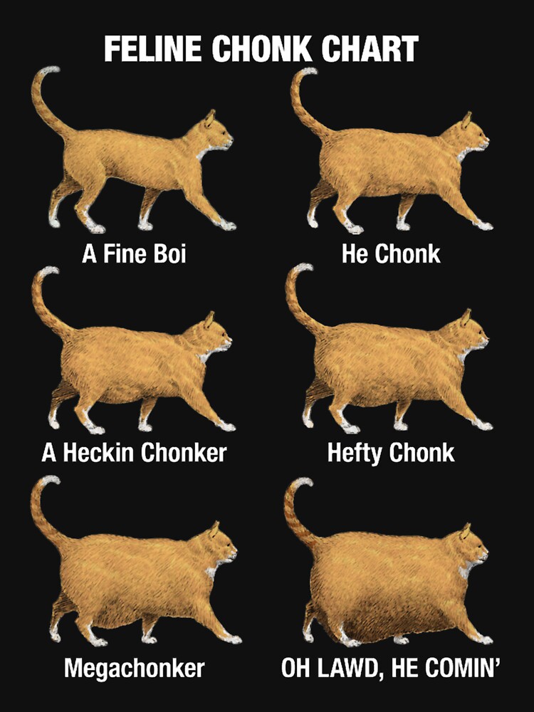"Feline Conk Chart, Funny Chonk Cat Meme " Essential T-Shirt for Sale ...