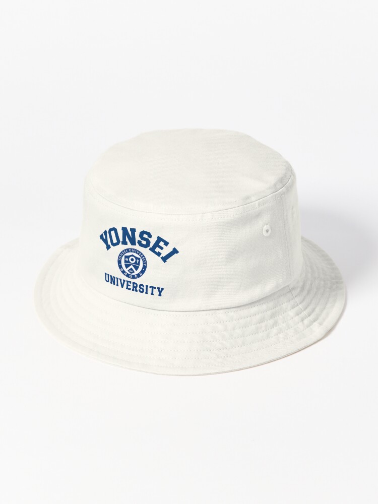 "Yonsei University / Unisex Hoodie / K-Pop, K-Drama, K-Fashion, Unique ...