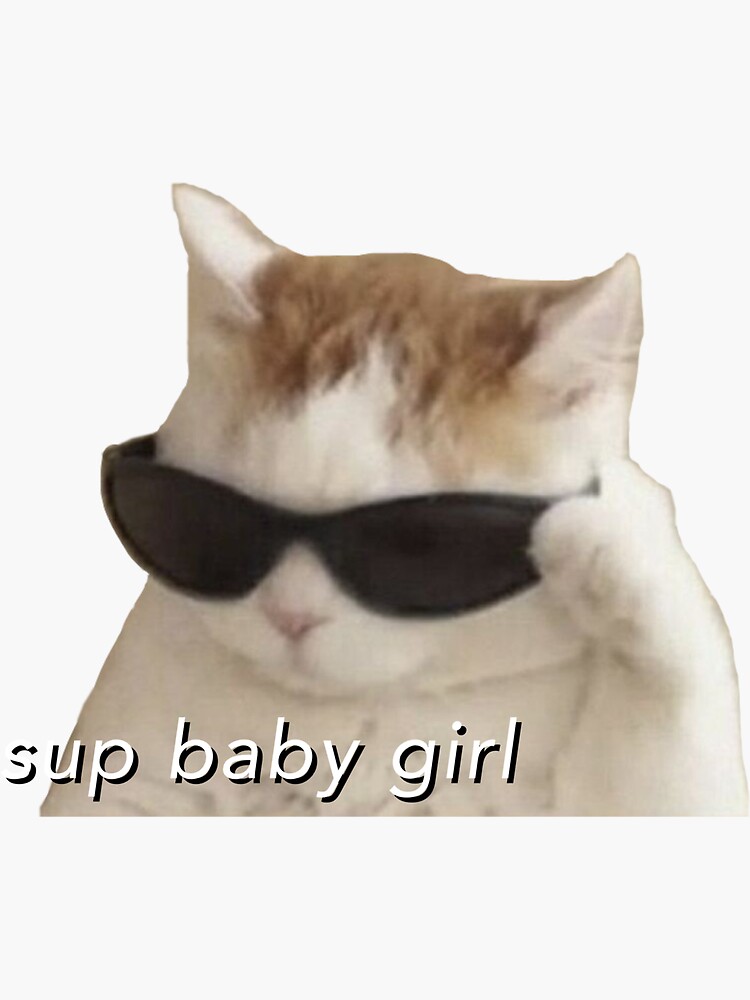 Cool Cat Meme Cat Memes: The Viral Phenomenon