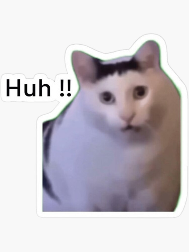 "Huh cat meme " Sticker for Sale by larbi20 | Redbubble