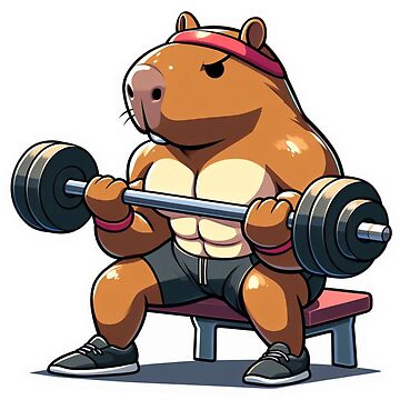 "Gym Capybara" Sticker for Sale by veneficzi | Redbubble