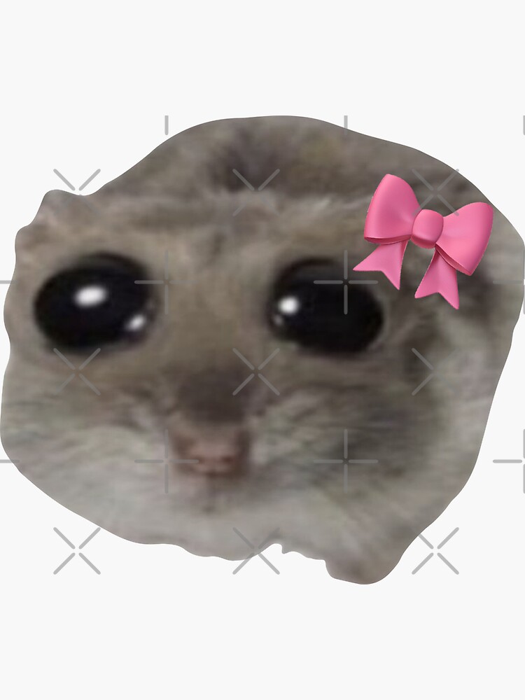"Sad Hamster Meme" Sticker for Sale by funkyst | Redbubble