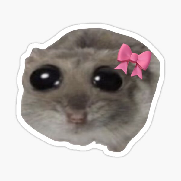 "Sad Hamster Meme" Sticker for Sale by funkyst | Redbubble