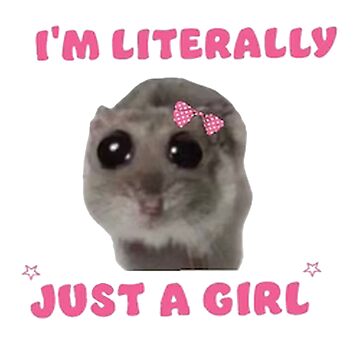 "Sad Hamster Meme" Sticker for Sale by danielromeney | Redbubble