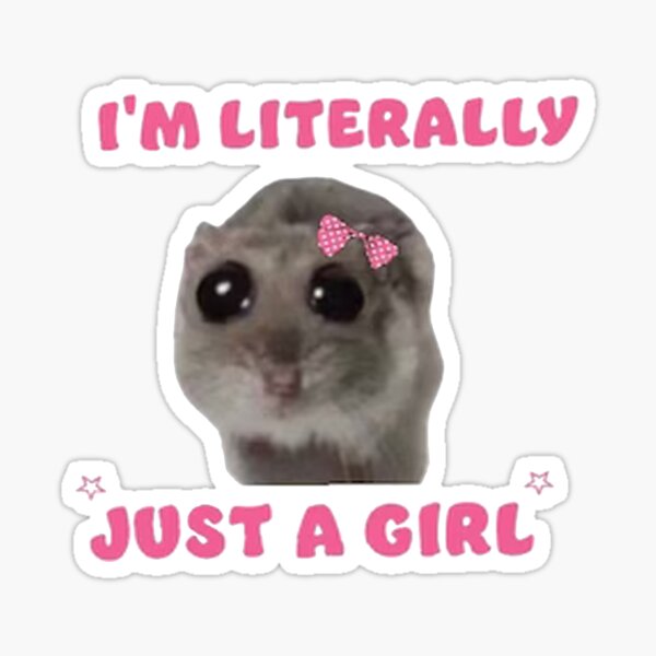 "Sad Hamster Meme" Sticker for Sale by danielromeney | Redbubble