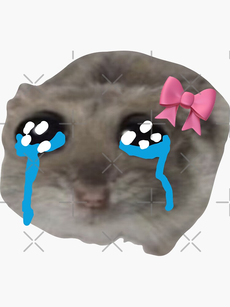 "Sad Hamster Meme" Sticker for Sale by funkyst | Redbubble
