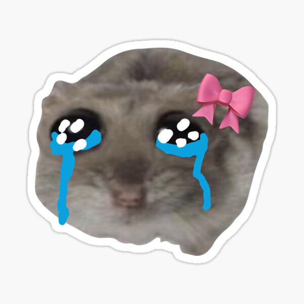"Sad Hamster Meme" Sticker for Sale by funkyst | Redbubble