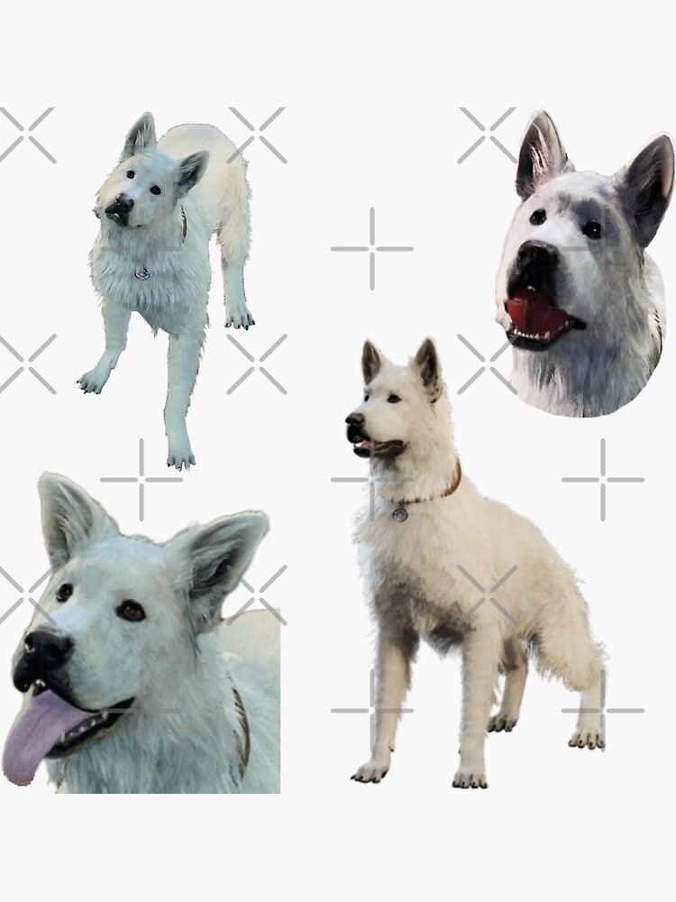 "BG3 Scratch set" Sticker for Sale by cgbyrd | Redbubble