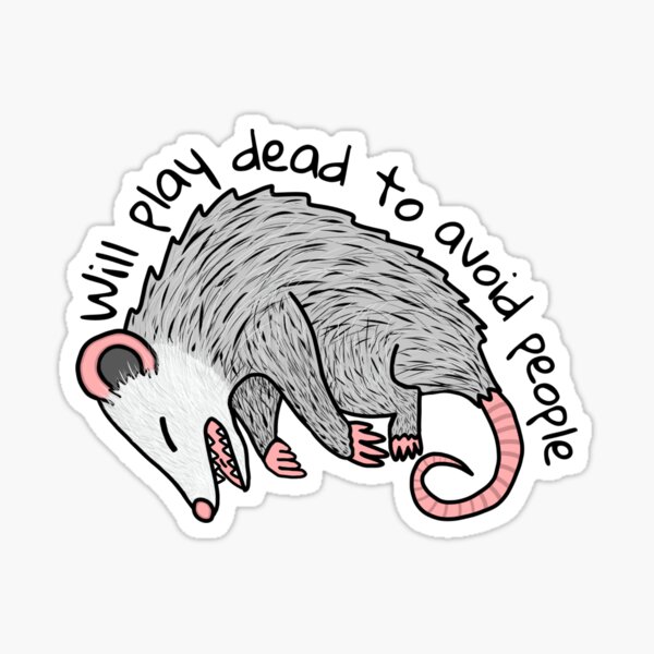 "Opossum Playing Dead" Sticker for Sale by ArtByChoosy | Redbubble
