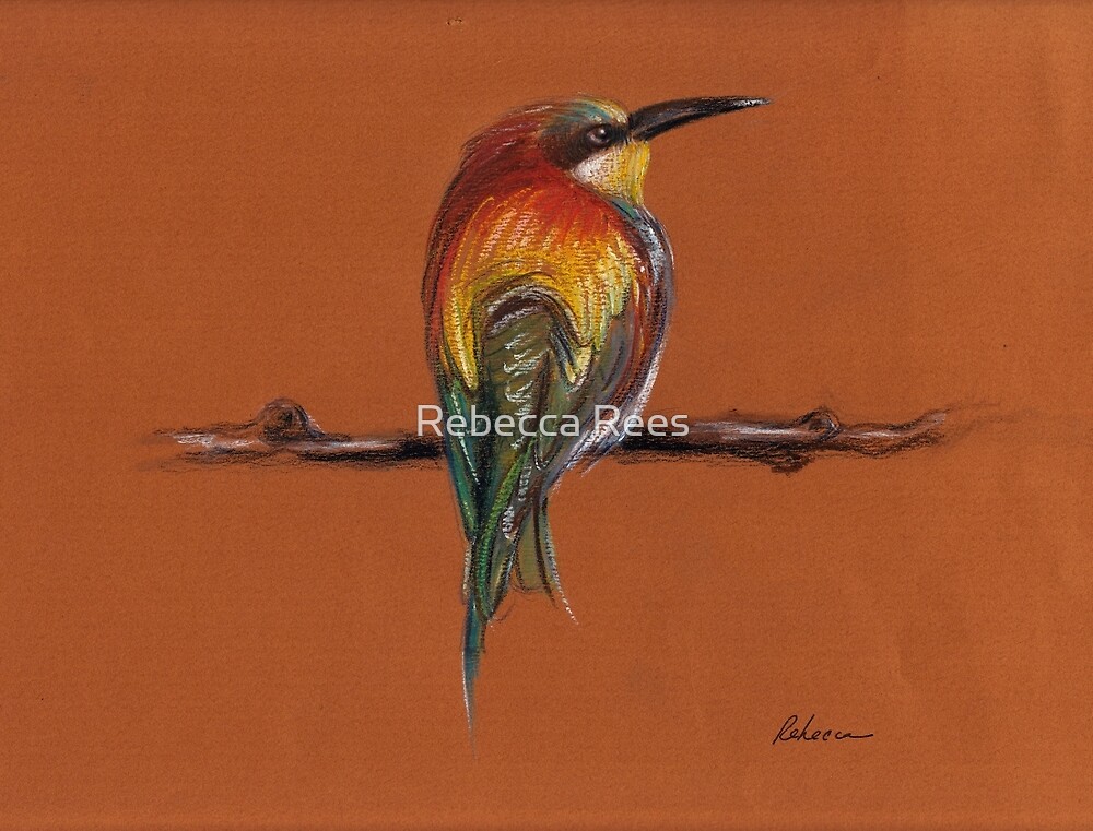 "Wild - Original pastel/colored pencil drawing of a colorful wild bird ...