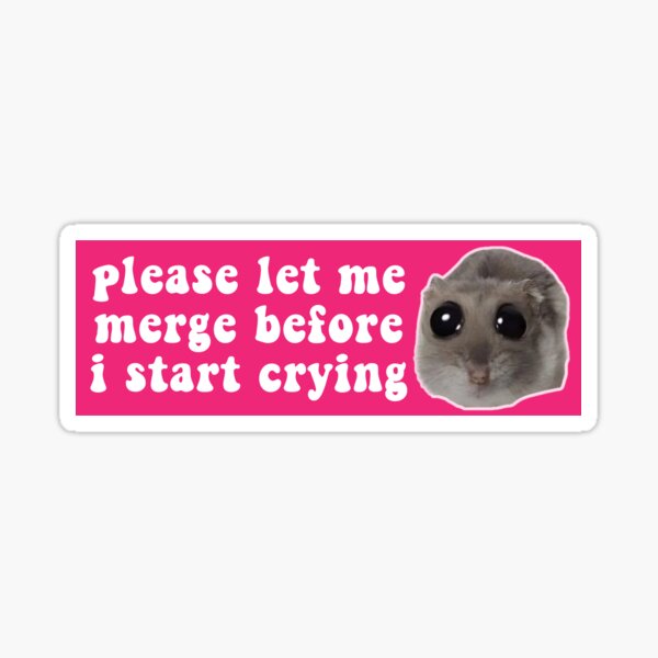 "Please Let Me Merge Before I Start Crying, Cute hamster Funny Meme ...