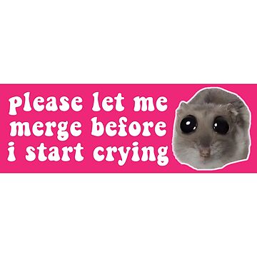"Please Let Me Merge Before I Start Crying, Cute hamster Funny Meme ...