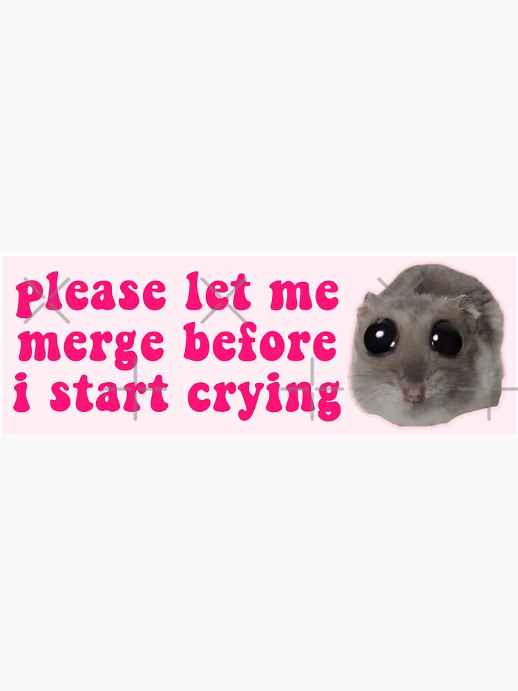 "Please Let Me Merge Before I Start Crying, Cute hamster Funny Meme ...