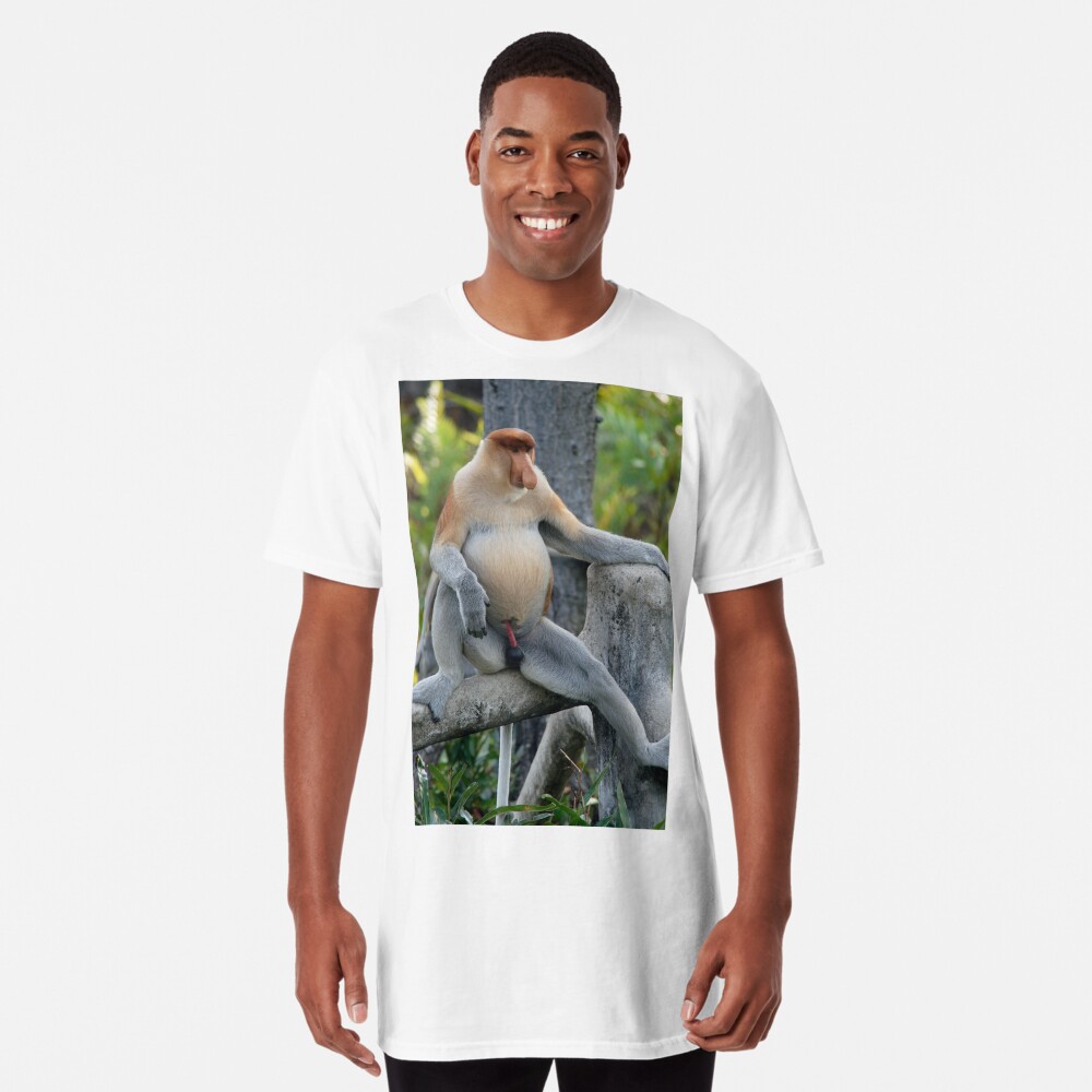 "Male proboscis monkey (Z910/0207)" Poster for Sale by SciencePhoto ...