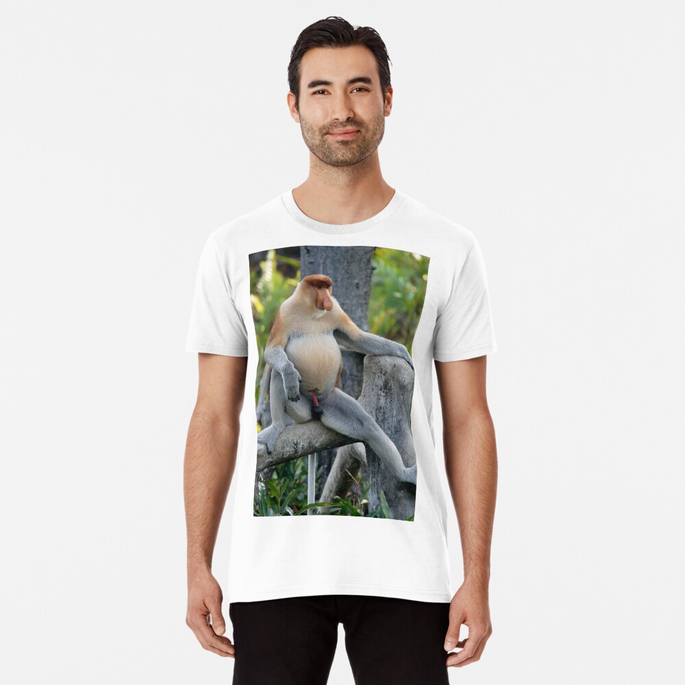 "Male proboscis monkey (Z910/0207)" Poster for Sale by SciencePhoto ...