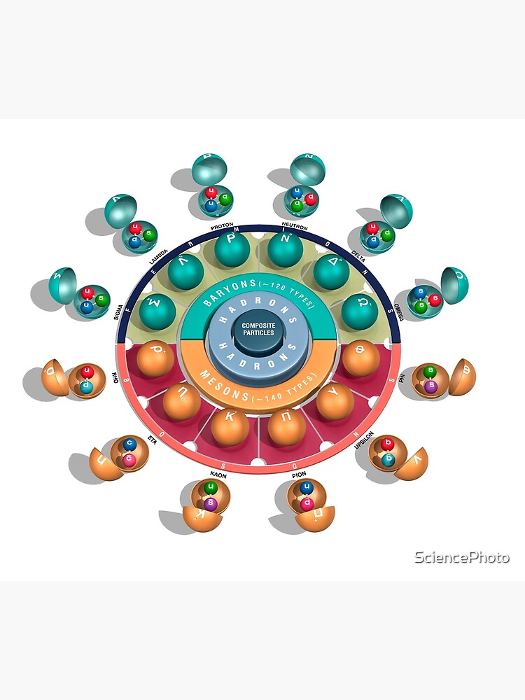 Quark Particle Model