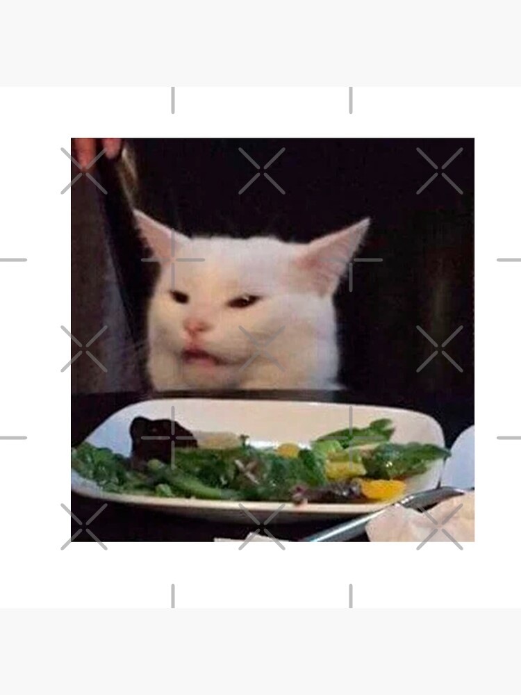 White Table Cat Meme Cat Eating Ramen