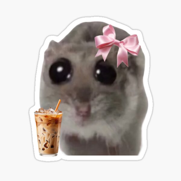 "Sad Hamster with Iced Coffee" Sticker for Sale by edrouillard | Redbubble