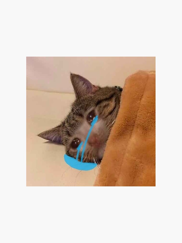 "sad cat meme" Sticker by sofiaguida | Redbubble