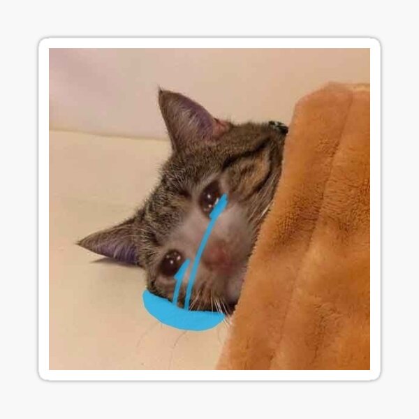 "sad cat meme" Sticker by sofiaguida | Redbubble