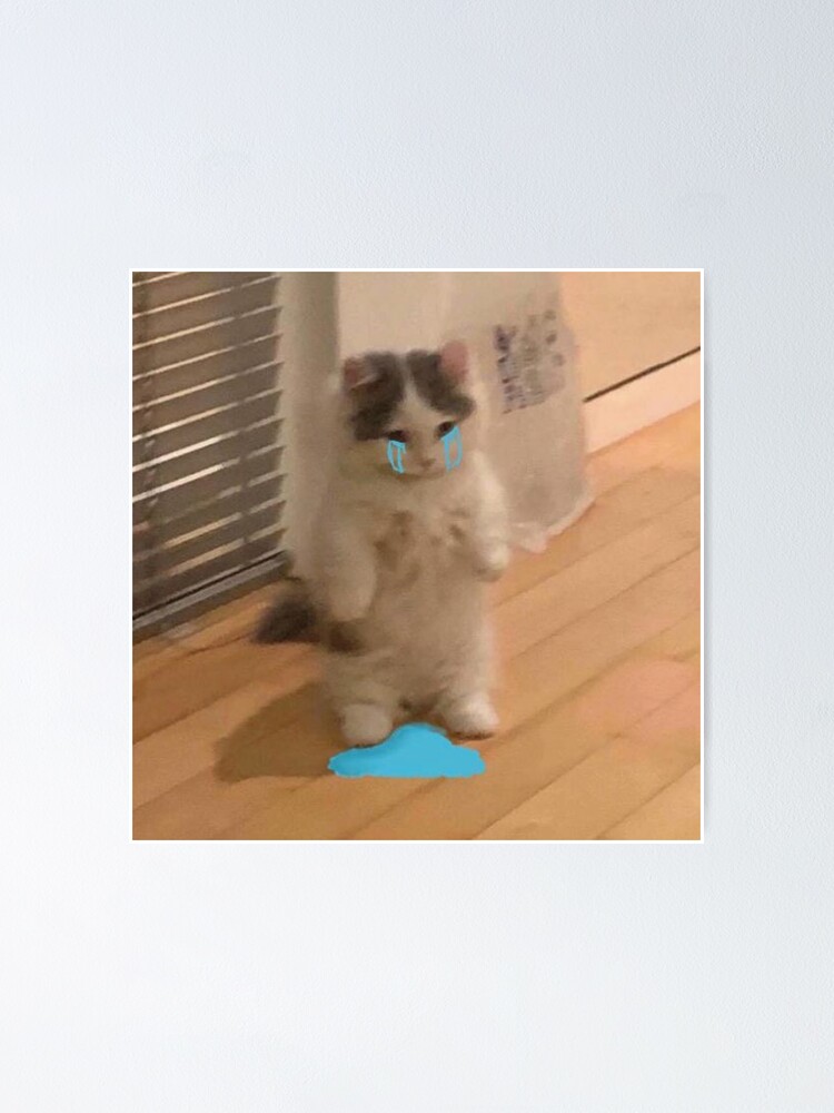 "crying cat meme" Poster by sofiaguida | Redbubble