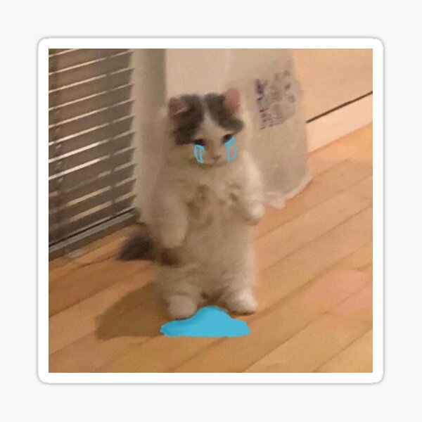 "crying cat meme" Sticker by sofiaguida | Redbubble