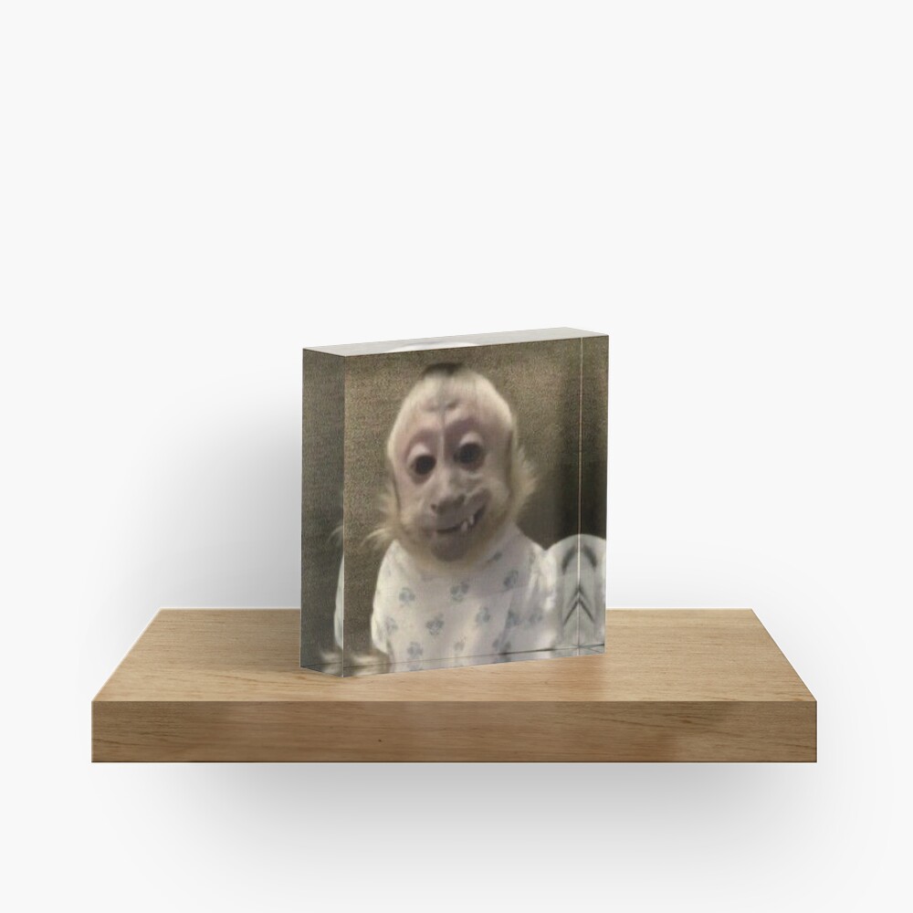 "monkey meme" Sticker by sofiaguida | Redbubble