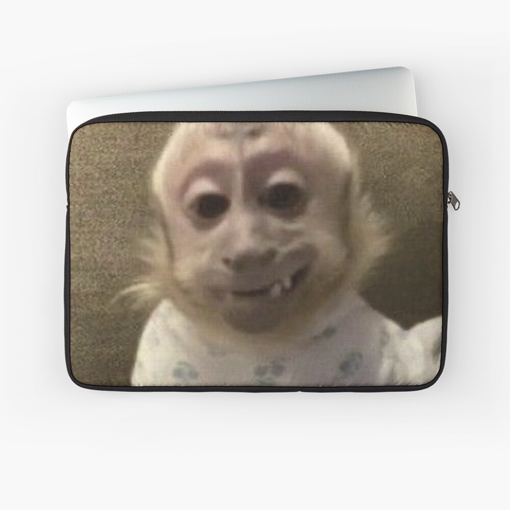 "monkey meme" Sticker by sofiaguida | Redbubble